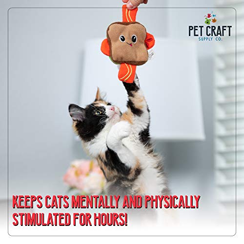 Pet Craft Supply Silly Snacks and Funny Food Crinkle Cuddling Catnip and Silvervine Interactive Cat Toys - Great for Indoor Cats and Kittens, All Breed Sizes
