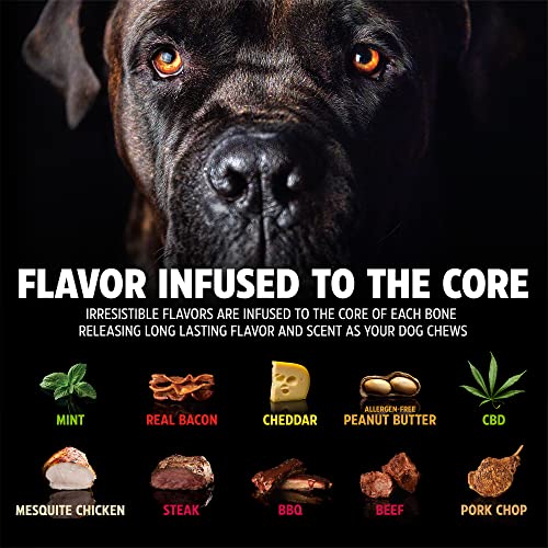 Pet Qwerks Dinosaur BarkBone - Nylon Dog Bone for Aggressive Chewers - Bacon Flavor - 11"