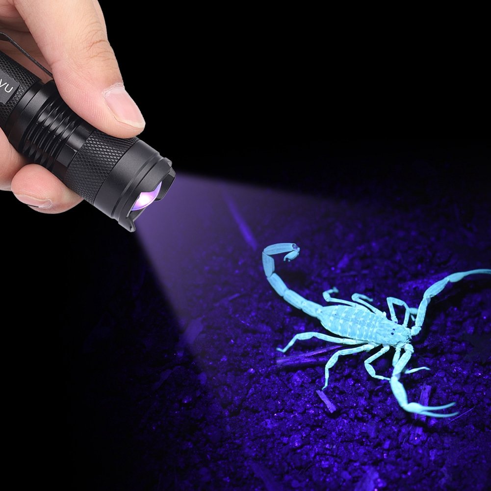 Fdit Torch Flashlight Ultra Bright LED Tactical Flashlight Perfect for Camping Biking Home Emergency 395/365 nm (Batteries Not Included)(365nm)