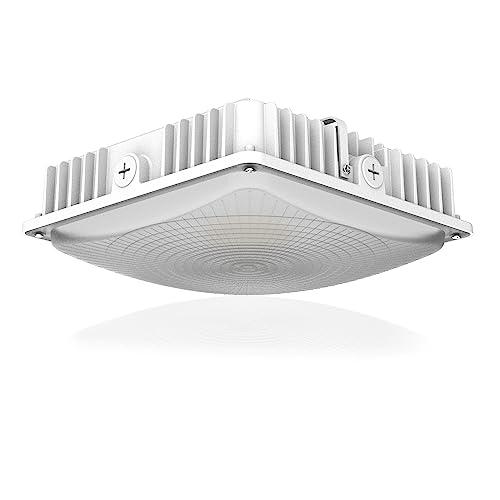 Deojoy Canopy Lights Outdoor LED, Super Bright 5000K Daylight 9.56" x 9.56",IP65 Waterproof Area Light, AC100-277V, for Gas Station, Garage, Carport, Outdoor Lighting(50W-1P