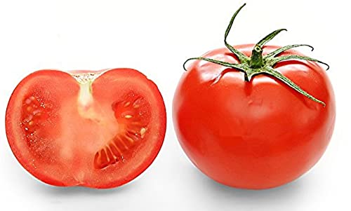 Dependable Industries inc. Essentials Set of 2 Piece Tomato Keeper Saver Container Server Keeps Cut Tomatoes Fresh Longer Odor Concealer Vegetable Holder BPA Free