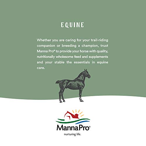 Manna Pro Lexol Neatsfoot Leather Conditioner | Helps Soften and Renew | 1 Liter