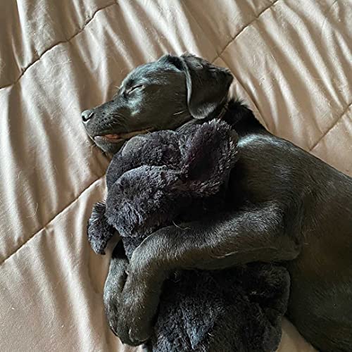 Snuggle Puppy Replacement Pulsing Heartbeat for Pets - Anxiety Relief and Calming Aid for Dogs and Cats