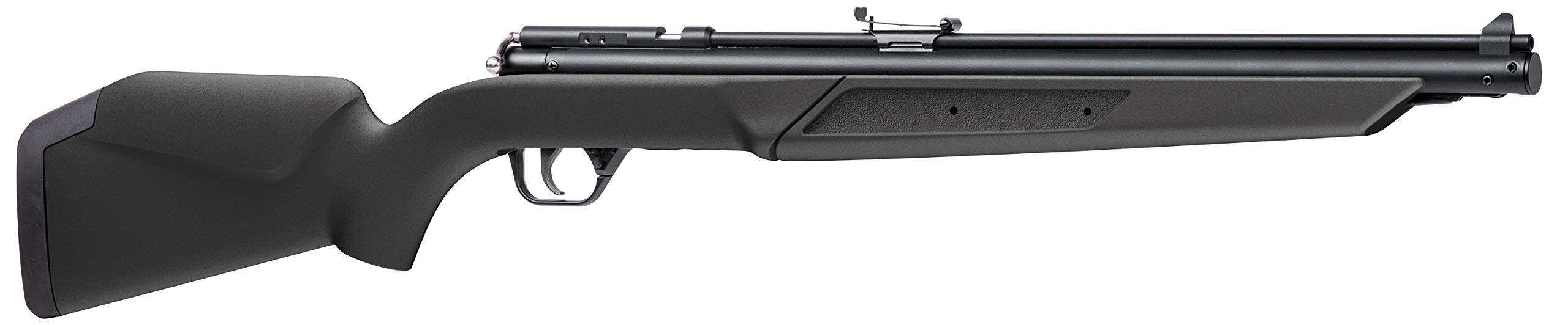 Benjamin 397S .177-Caliber Bolt Action Variable Pump Air Rifle, Black
