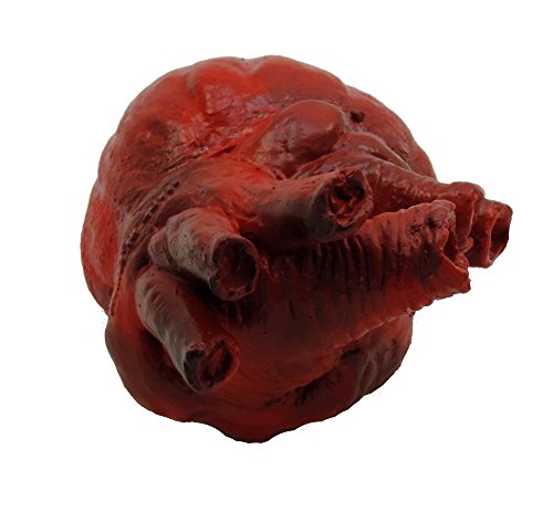Loftus International Life Size Foam Heart Gory Halloween Prop