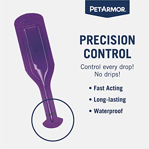 PetArmor Plus for Cats, Flea & Tick Prevention for Cats (Over 1.5 lb), Includes 6 Month Supply of Topical Flea Treatments, white, 6 count