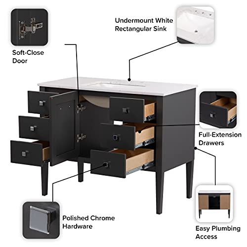 Spring Mill Cabinets Fordwin Bathroom Vanity with 1-Door Cabinet, 6 Drawers, Countertop with Undermount Sink, 43" W x 22" D 35.1" H, Shale Gray/Pulsar Top