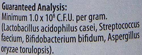 Marshall Pet Products Natural Probiotic Pet Digestive Tract Conditioner Supplement Eases Digestive Stress, ECE and Diarrhea in Ferrets and Small Animals, 1.7 oz
