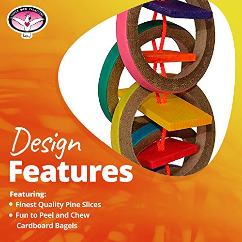 Super Bird Creations SB625 Olympic Rings Bird Toy, Large Bird Size, 15β x 4β x 4β