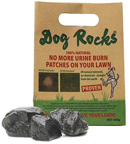 Dog Rocks - Prevent Grass Burn Spots by Urine - Save Your Lawn from Yellow Marks - 600g