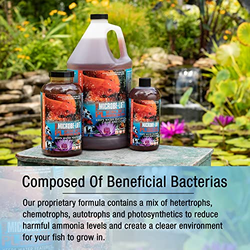 MICROBE-LIFT PL Pond Bacteria and Outdoor Water Garden Cleaner, Safe for Live Koi Fish, Plant Life, and Decor (1 Gallon)