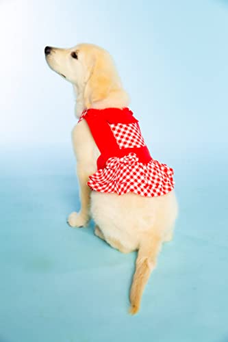 Doggy Parton Red Gingham Overalls Dress for Pets, Small (22120769)