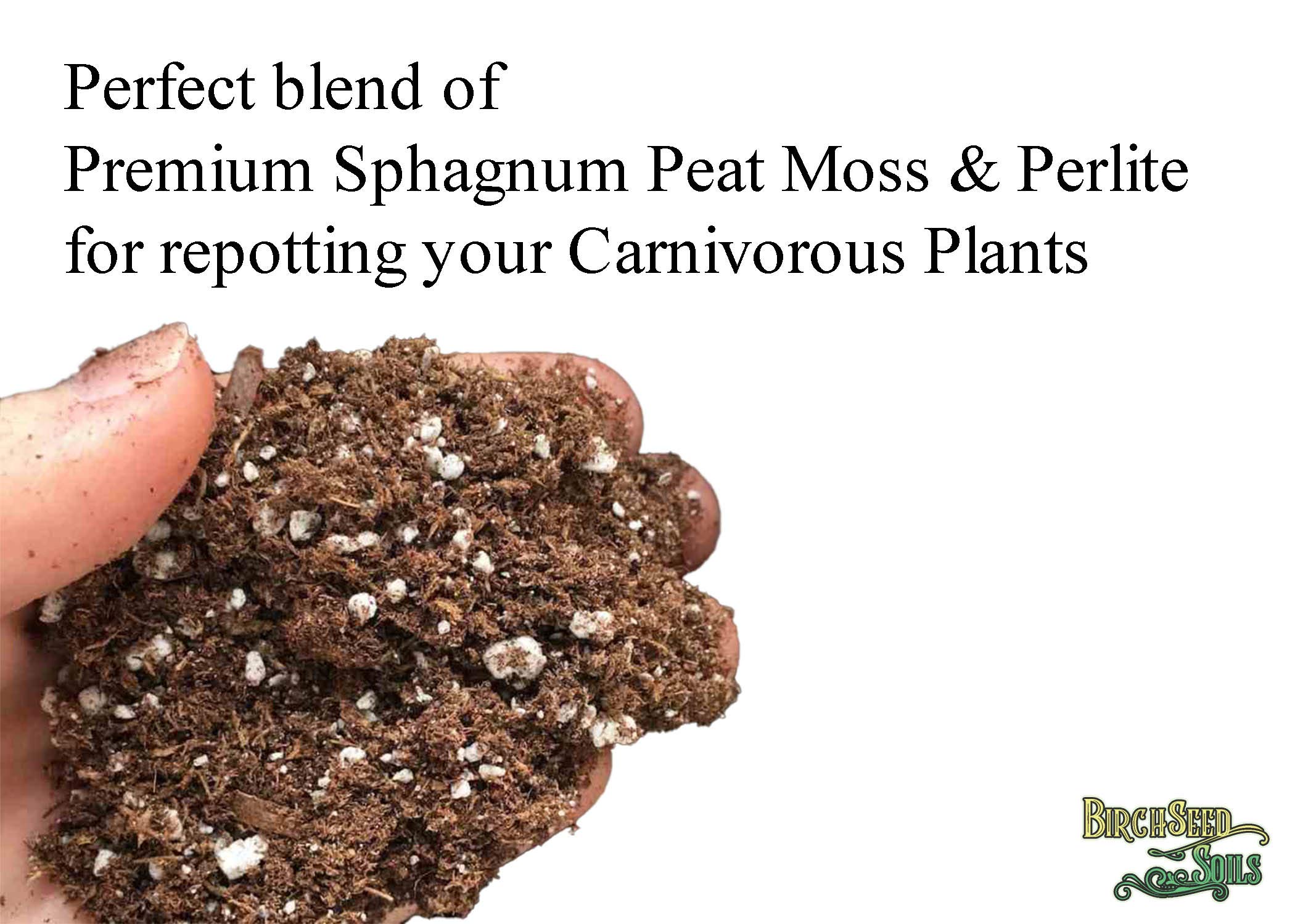 Carnivorous Plant Soil Mix All Natural Perfect for Venus Fly Traps, Pitcher Plants, Butterworts, and Sundews 1 Quart 1-2 Small Plant Size Bag