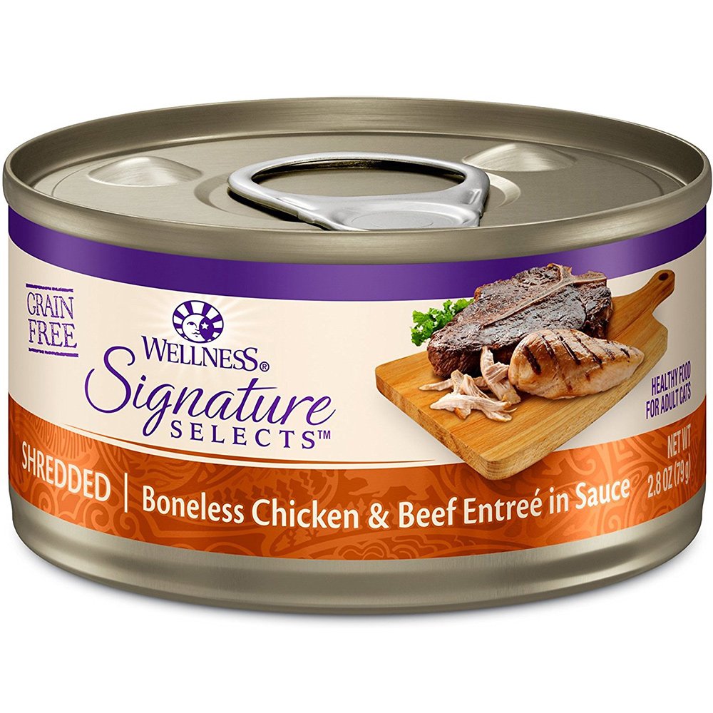 Wellness Canned Grain Free Wet Cat Food - Variety Bundle 4 Flavors Pack with Hotspot Pets Food Bowl (12 Cans) (Chicken & Beef, Chicken & Liver, Chicken & Salmon, Chicken & Turkey)(2.82oz)