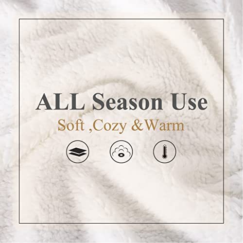 Dropshipful Bookshelf Cat Throw Blanket 50"x60" Plush Fluffy Sherpa Fleece Blanket Soft Throws for Sofa, Couch and Bed