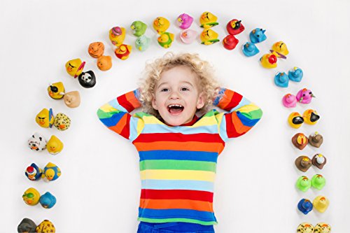 Kicko Assorted Rubber Ducks in Bulk - 50 Pack - 2 Inches - for Kids, Sensory Play, Stress Relief, Stocking Stuffers, Classroom Prizes, Decorations, Supplies, Holidays, Pinata Filler, and Rewards