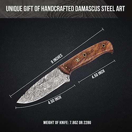 BIGCAT ROAR Handmade Damascus Hunting Knife - Bushcraft Fixed Blade Hunting Knife with Sheath and Walnut Wood Handle - 9″ EDC Skinning Knife - Little Champ