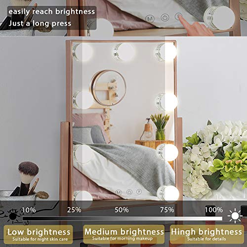 FENCHILIN Hollywood Mirror with Light Large Lighted Makeup Mirror Vanity Makeup Mirror Smart Touch Control 3Colors Dimable Light Detachable 10X Magnification 360°Rotation (Rose Gold)