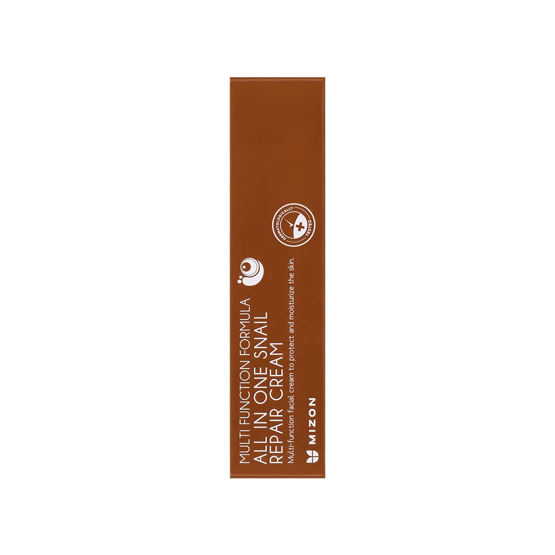 MIZON All in One Snail Repair Cream Snail Mucin with 12 Natural Extracts Korean Recovery Cream for Fine Line & Blemish Care (4.06 fl oz)