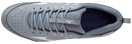 Mizuno mens All Surface Low Ambition 2 Turf Shoe, Grey-White, 10.5 US