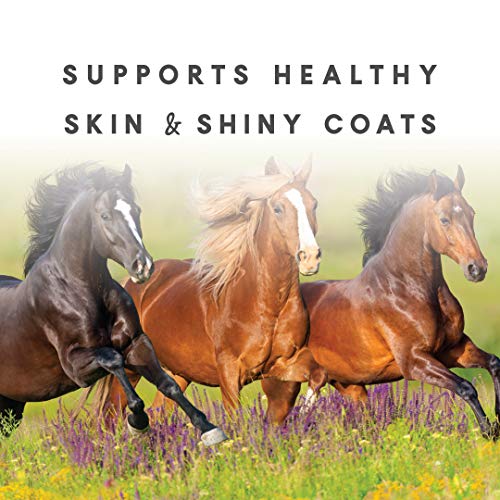 Manna Pro Sho-Glo Supplement for Horses | Complete Vitamin & Mineral Supplement for Healthy Skin & Coat | 25 Pounds