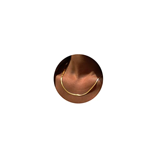 DEARMAY Gold Herringbone Necklace for Women Dainty Gold Necklace for Women Simple Gold Chain Choker Necklace for Women Minimalist Thin Snake Chain Necklaces for Teen Girl Gifts