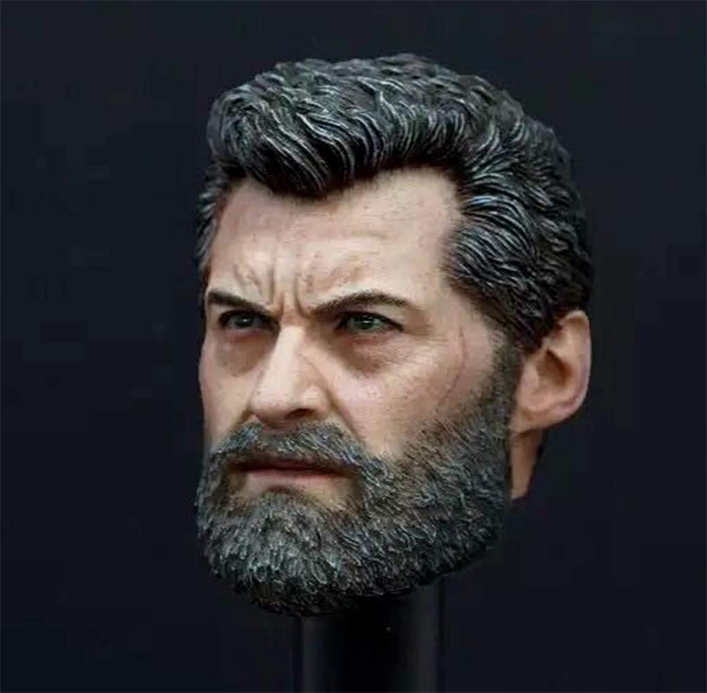 HiPlay 1/6 Scale Male Figure Head Sculpt, Handsome Men Tough Guy, Doll Head for 12 inch Action Figure HS011(B)