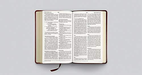 ESV Large Print Thinline Bible (TruTone, Burgundy/Red, Timeless Design)