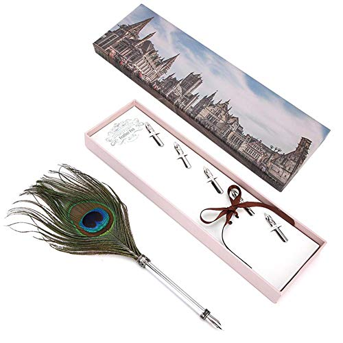 Marhynchus Feather Pen Set Calligraphy Pens Vintage Style Calligraphic Feather Pen Kit Business Gift Student Pen Gift Box Table Decoration with 5pcs Pen Nibs(Type 1)