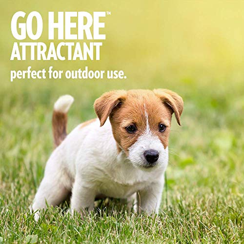 OUT! PetCare Go Here Attractant Indoor and Outdoor Dog Training Spray - House-Training Aid for Puppies and Dogs - 32 oz