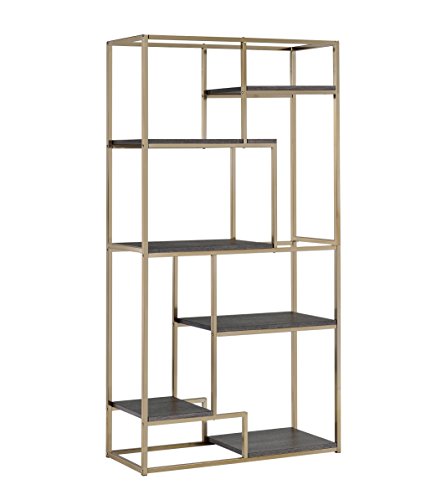 Furniture of America Corley Contemporary 6 Shelf Bookcase, Champagne