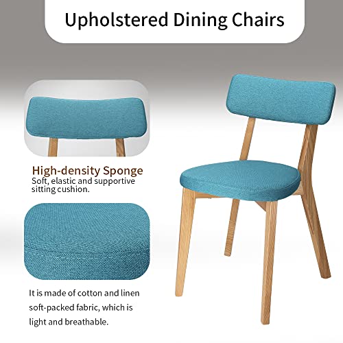Fishat Pink Simple Double Rod Garment Rack & SAH Solid Wood Dining Chair Set of 2