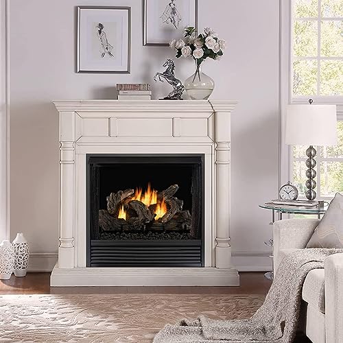 ProCom PCNSDS24RT Dual Fuel Ventless Fireplace Logs Set with Remote Control, Use with Natural Gas or Liquid Propane, 32000 BTU, Heats up to 1100 Sq. Ft, Realistic Painted, 24 Inches