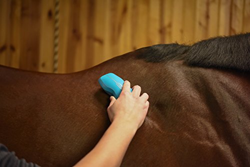 WAHL Professional Animal Equine Grooming Rubber Curry Horse Brush, Turquoise (858712-100)