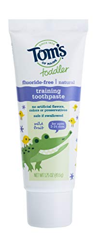 Tom's of Maine Fluoride-Free Toddler Training Toothpaste, Mild Fruit, 1.75 oz.