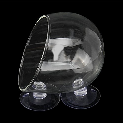 Senzeal 2X Crystal Glass Aquatic Plant Cup Pot with 4X Suction Cups for Fish Tank Aquarium Aquascape