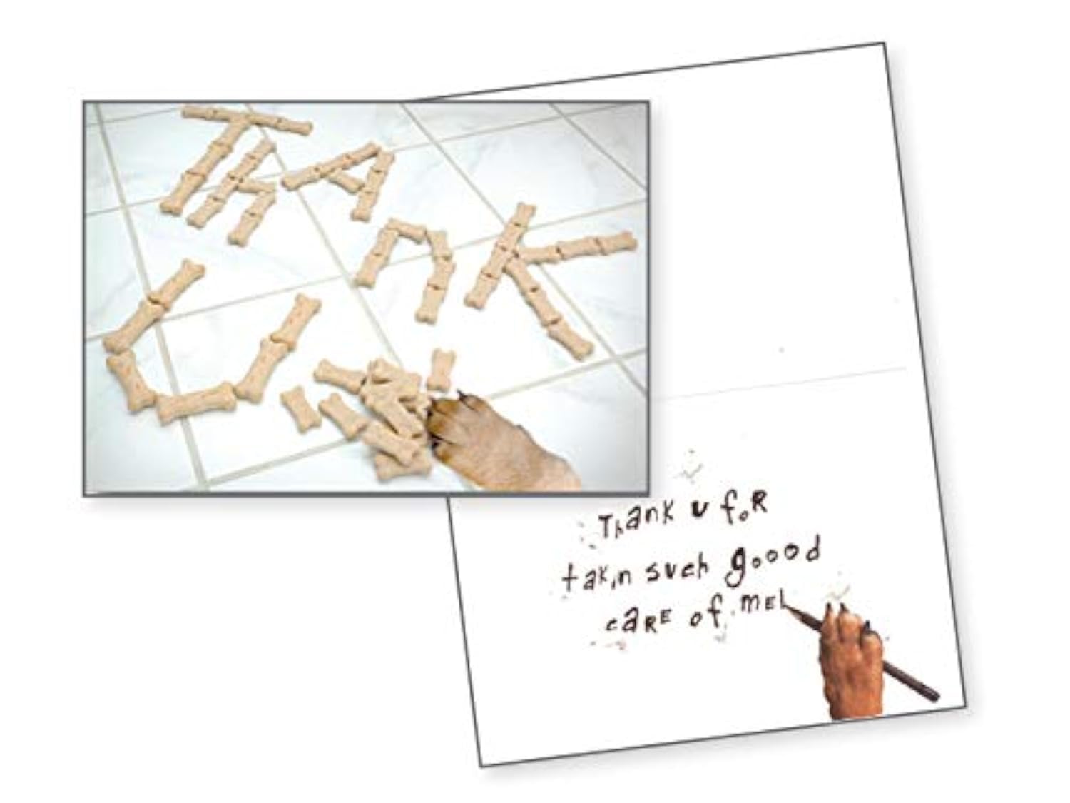 Dog Speak Thank U Letter - Pet Sitter Card