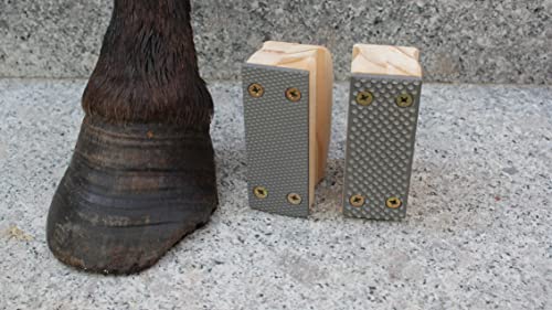 Mini Farrier Rasp with Wooden Handle Fine Tooth, Micro Equine Hoof Rasp File with Wood Handle,Save Edge Farrier Hoof Rasp for Foals, Horse, Goats,Hogs Trimming (Fine Tooth)