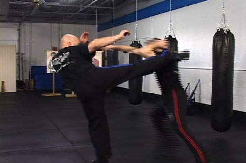Mastering Krav Maga Self Defense (Vol. I) 6 DVD Set (380 minutes - Beginner to Advanced) by David Kahn