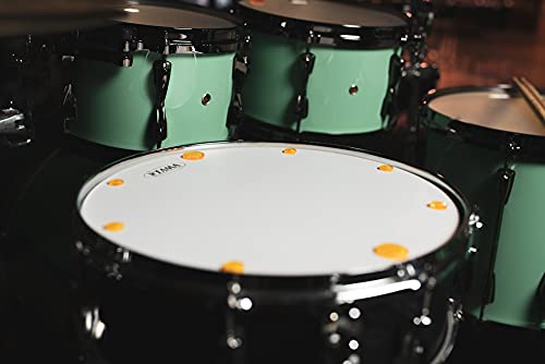 Meinl Cymbals pc Drum Honey Dampening Gel Pads, 12 Piece Assortment with Varying Sizes β Includes Container and Dividers (MDHA)