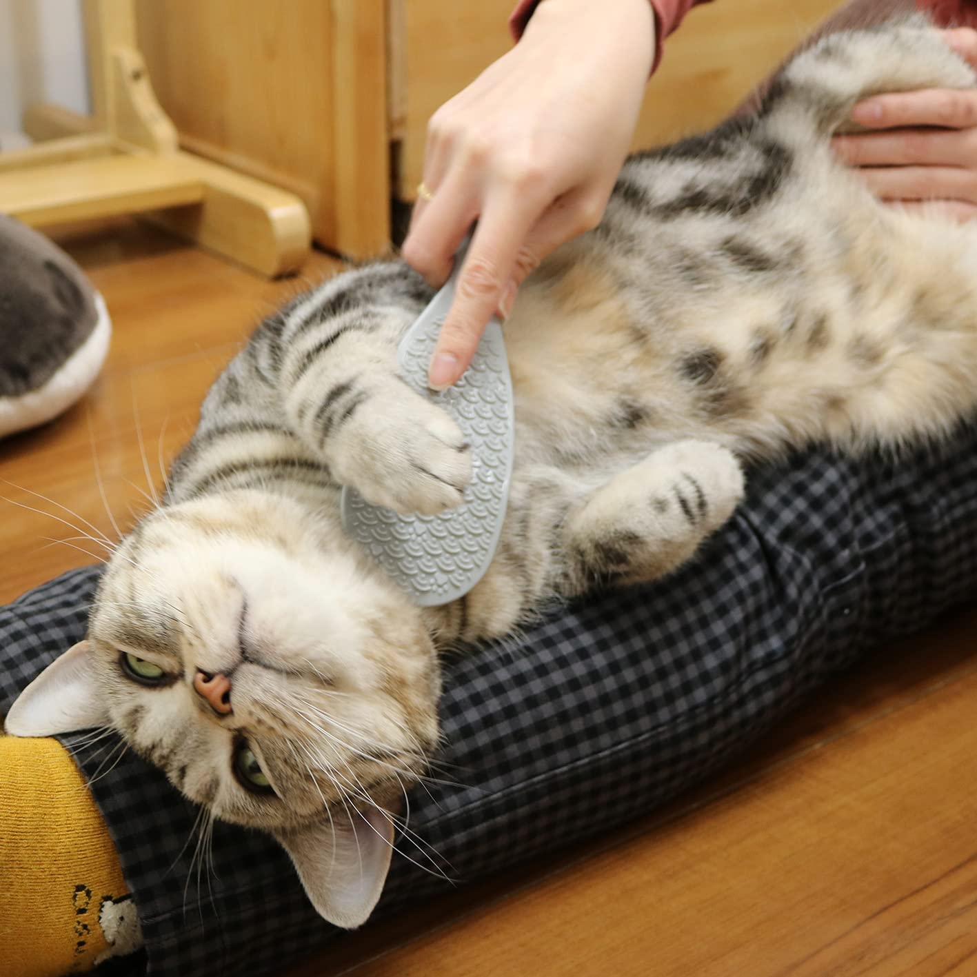 CATTYMAN Rice Paddle-Shaped Cat Grooming Brush, Cat Tongue Brush and Cat Massager Simulating Cat's Tongue Made in Japan