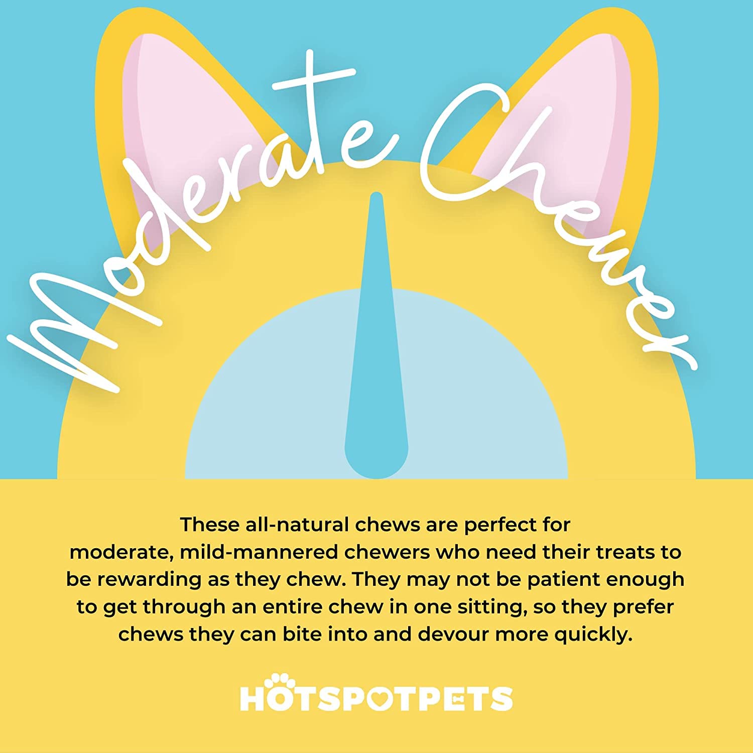 hotspot pets Beef Tendon Chews for Dogs - 6 Inch All Natural, Free-Range, Grass-Fed Premium Backstrap Tendon Dog Chews Treats