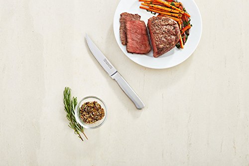 KitchenAid KKFSS4ST Classic Forged Series Brushed Steak Knife Set (Set of 4), Stainless Steel, 4.5"