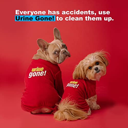 Urine Gone Stream Clean, Heavy Duty Carpet Stain & Odor Eliminator Deep Cleans with Fast Acting Natural Enzymes + Probiotics Eliminating Stains and Odor Permanently, No Scrubbing, 18 oz. (1pack)