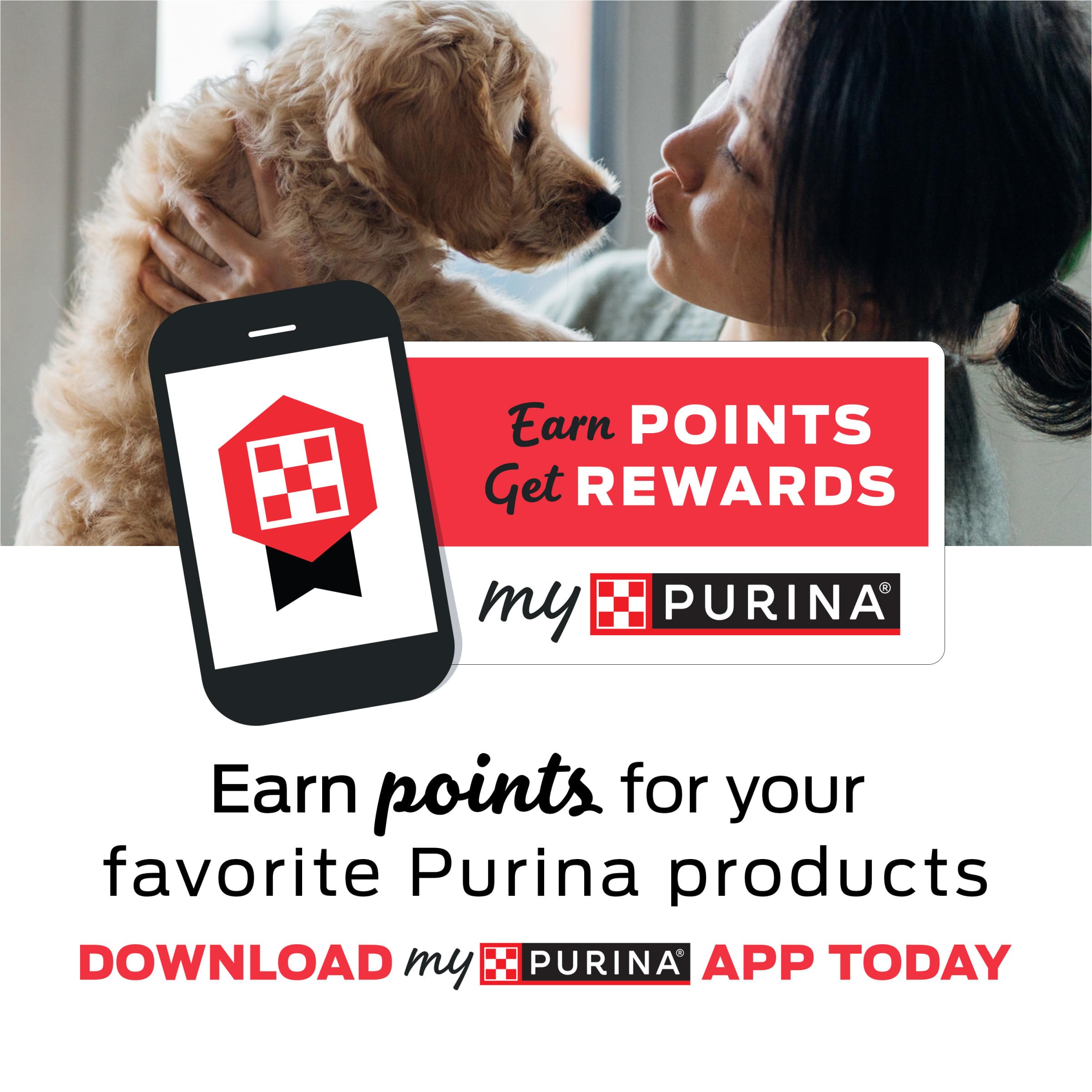 Dentalife Purina Plus Digestive Support Chicken and Pumpkin Flavor Small/Medium Dog Dental Chews, MP - 19 ct. Pouch