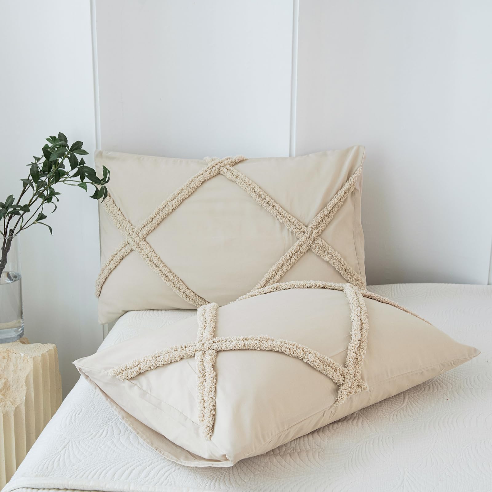 Bedbay White Tassel Comforter Set Queen Size Boho Aesthetic Bedding Set Queen Bed Set Tassel Decor Farmhouse Shabby Chic Bedding Luxury 3 Pieces Ultra Soft Microfiber Comforter(White,Queen)