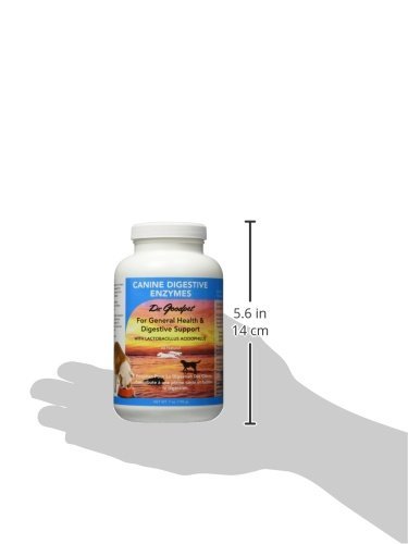 Dr. Goodpet Canine Digestive Enzymes Supplement for Dogs, Small