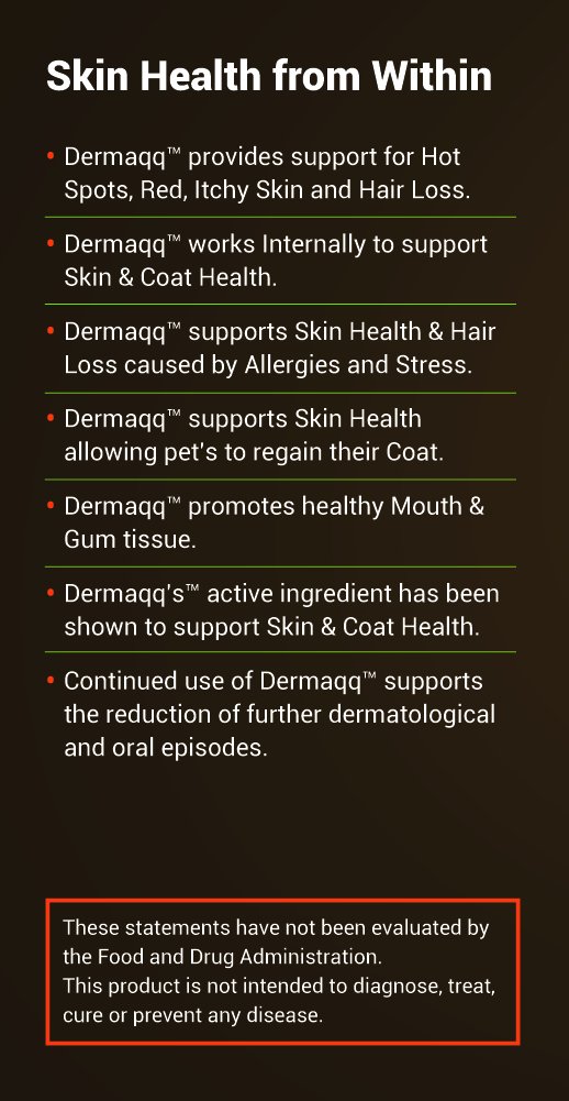 Dermaqq Ubiquinol - CoQ10 for Dogs and Cats Hot Spots, Hair Loss, Dermatitis Support (2 Boxes - 100MG softgels)