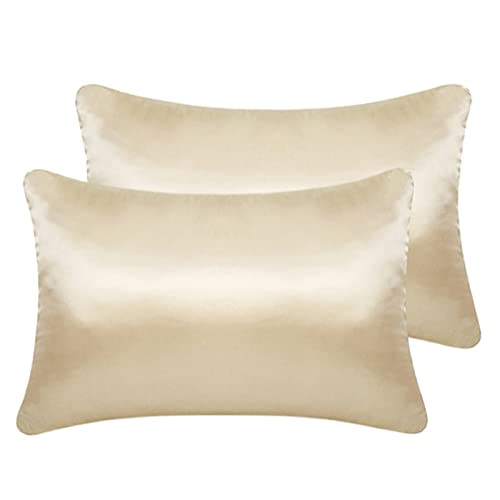 LCBD Silky Satin Toddler Pillowcases Set of 2, Super Soft Travel Pillow Covers, Small Kids Pillow Cases with Envelope Closure, 13"x 18", Champagne