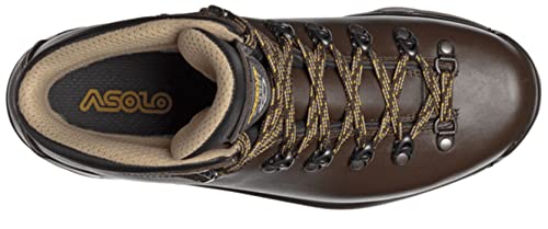 Asolo Men's TPS 520 GV EVO Long Distance, Backpacking, Trekking, Technical Terrian Hiking Boots (Chestnut, 11)